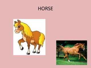 Farms animals | PPTX