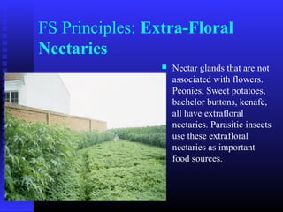 Farmscaping CFSA13 | PPT | Beekeeping | Hobbies & Interests