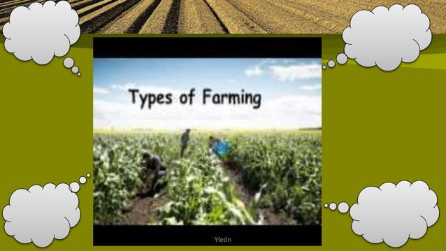 Farms final activity seventh grade presentation | PPTX | Agriculture ...