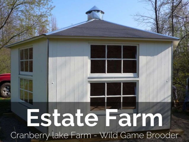 Farmstead architecture | PPTX