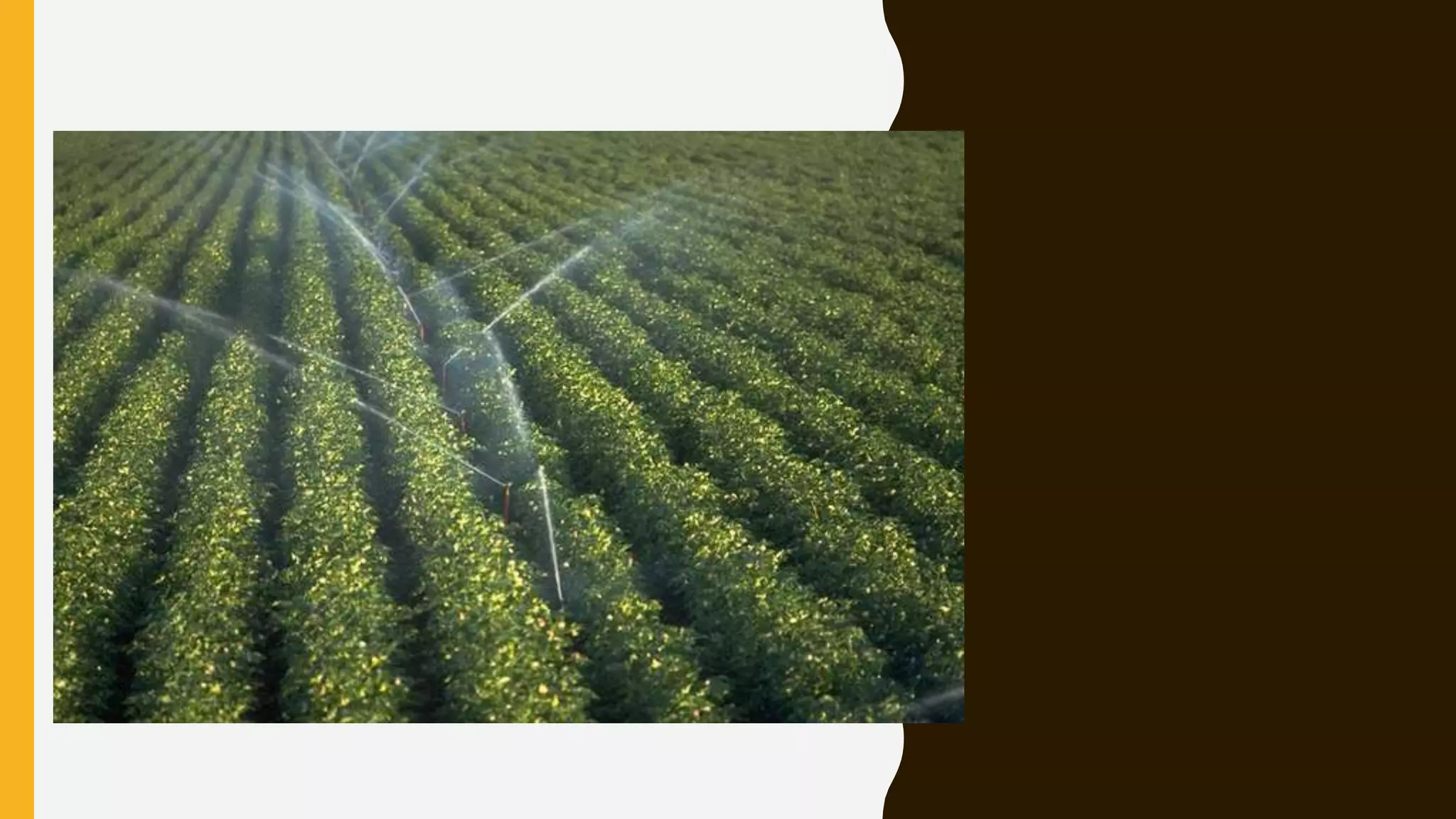 Farm tools in agricultural crop production | PPTX