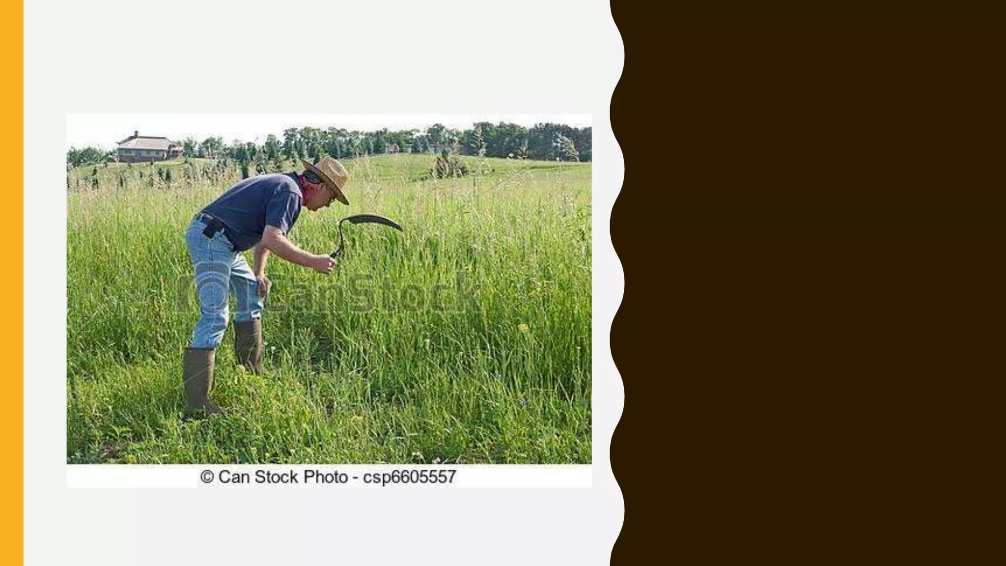 Farm tools in agricultural crop production | PPTX