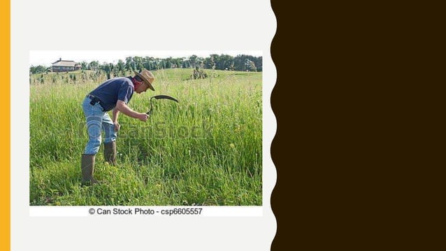 Farm tools in agricultural crop production | PPTX | Agriculture ...