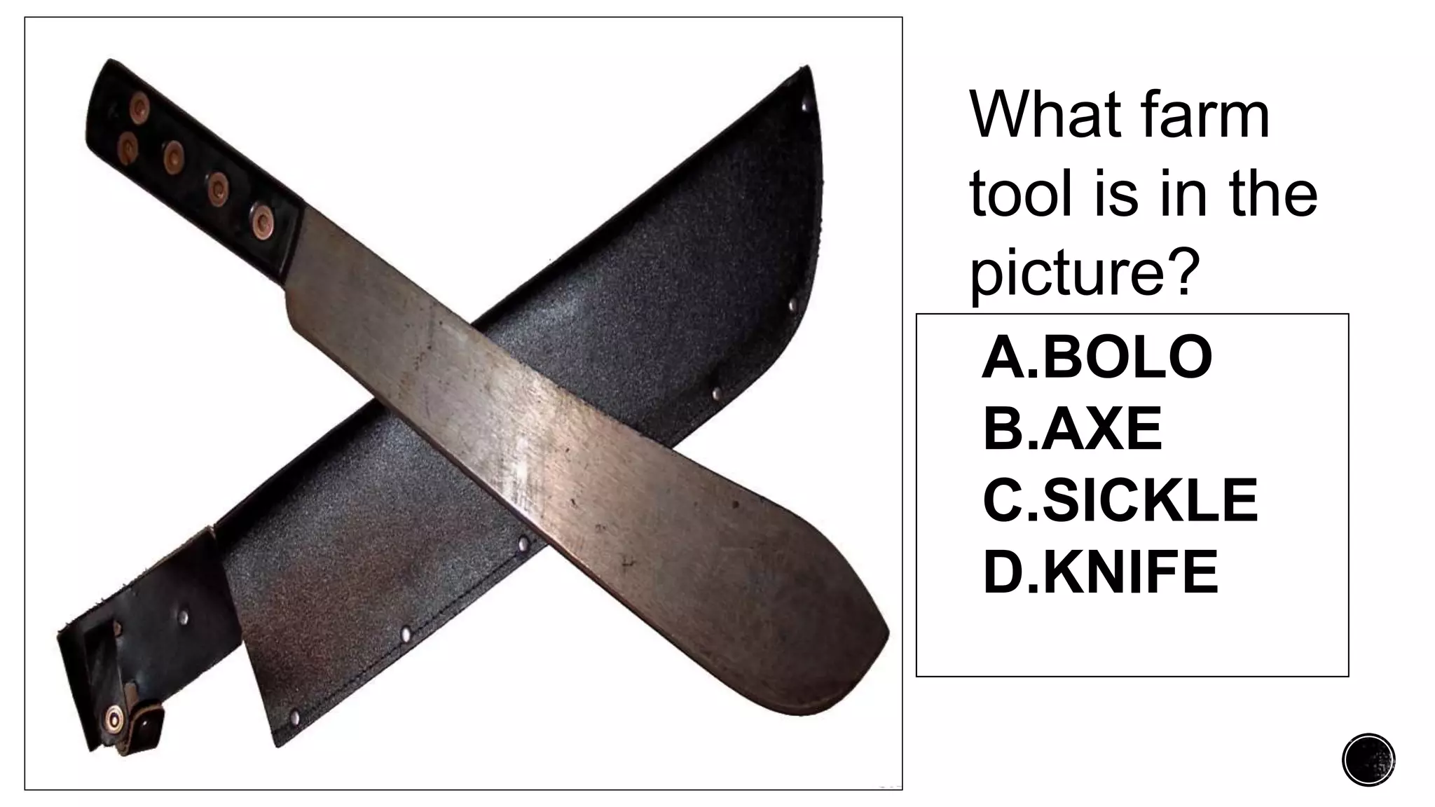 Farm tools quiz.ppt