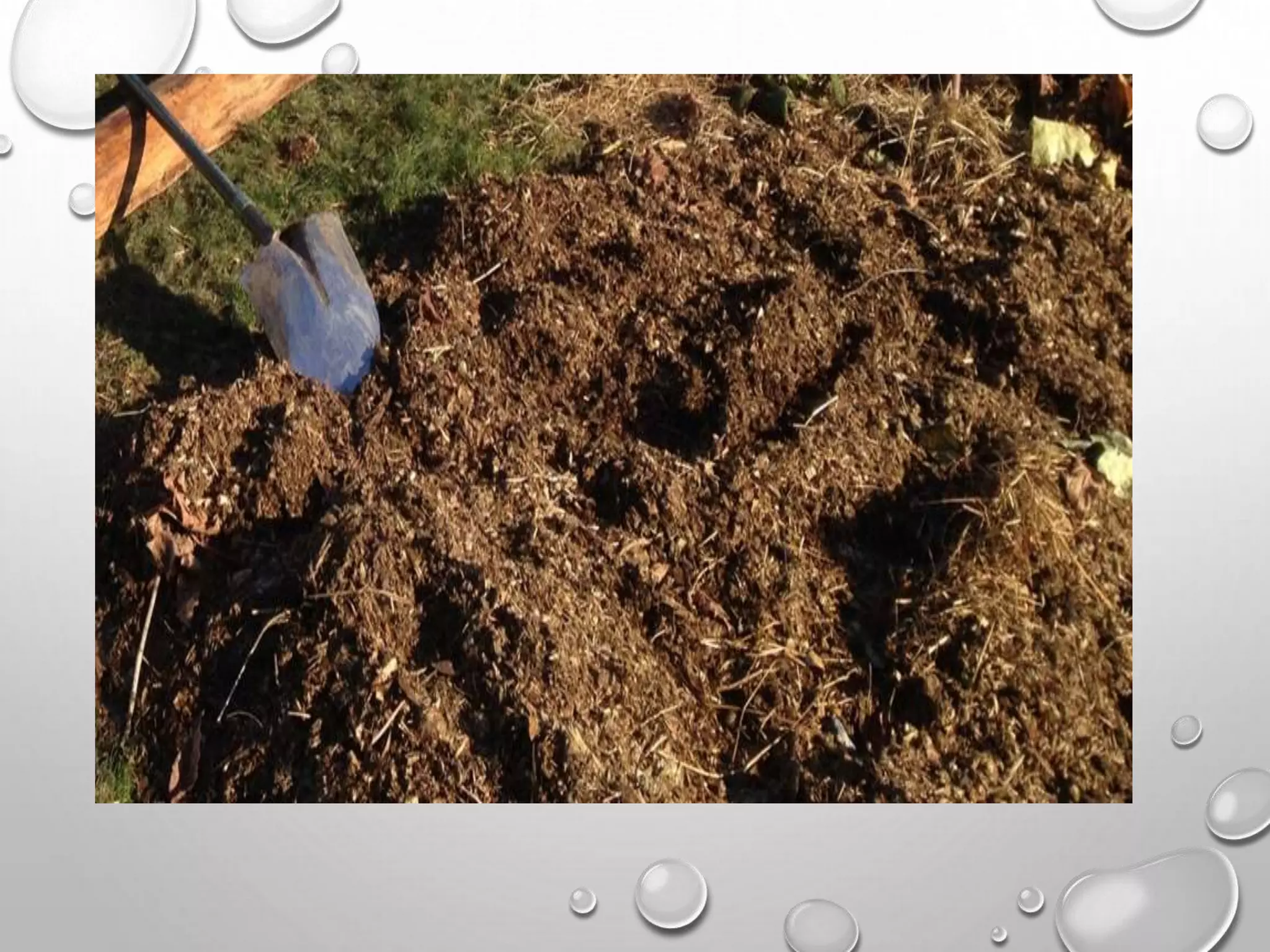 FARMYARD MANURE- COMPOST AND VERMICOMPOST | PPTX