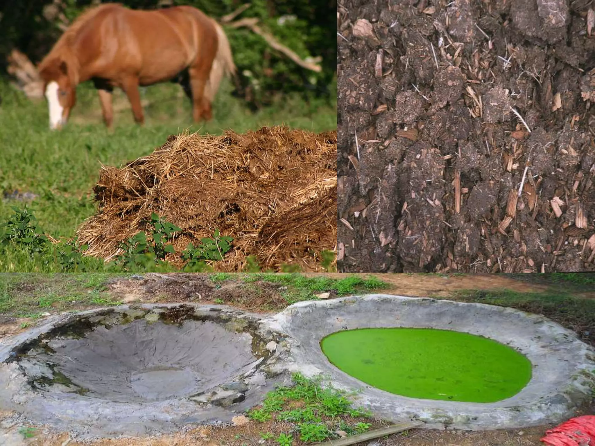 FARMYARD MANURE- COMPOST AND VERMICOMPOST | PPTX