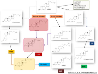 Farnesoid x receptor (fxr) and intestinal mucosa - Stefano Fiorucci | PPT