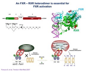 Farnesoid x receptor (fxr) and intestinal mucosa - Stefano Fiorucci | PPT