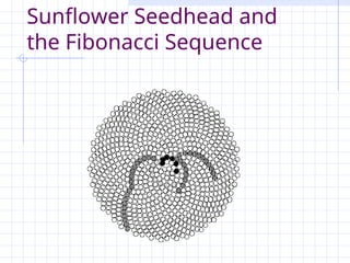 Fibonacci Sequence m_mathematics abd sciencer.ppt