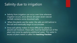 Drought and Salinity by sohail | PPTX