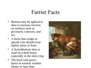 Farriers And Hoofcare | PPT