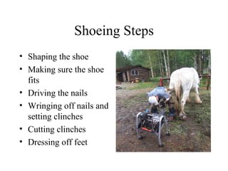 Farriers And Hoofcare | PPT