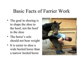 Farriers And Hoofcare | PPT