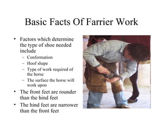 Farriers And Hoofcare | PPT