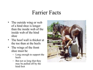 Farriers And Hoofcare | PPT