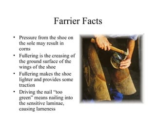 Farriers And Hoofcare | PPT