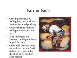 Farriers And Hoofcare | PPT