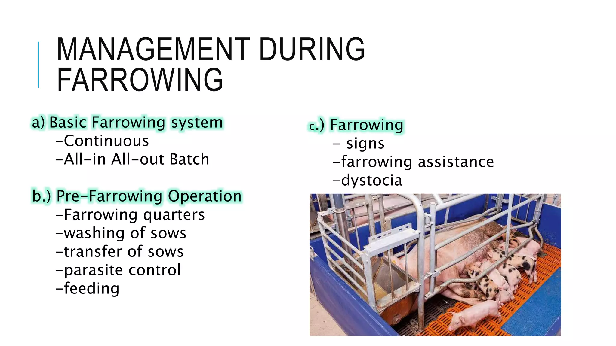 FARROWING MANAGEMENT.pptx