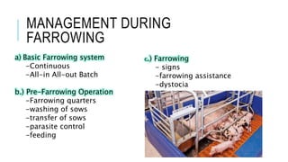 FARROWING MANAGEMENT.pptx