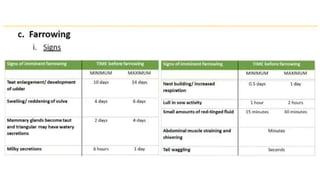 FARROWING MANAGEMENT.pptx