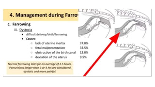 FARROWING MANAGEMENT.pptx