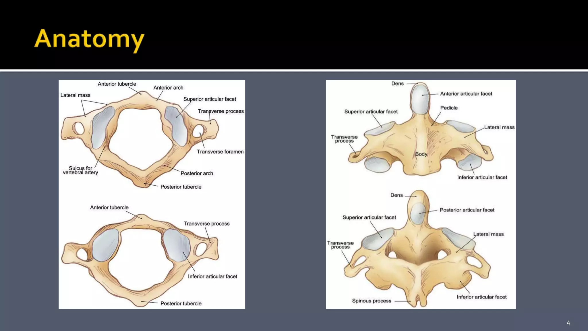 Cervical Fusion: C1-C2 Fusion | PPTX