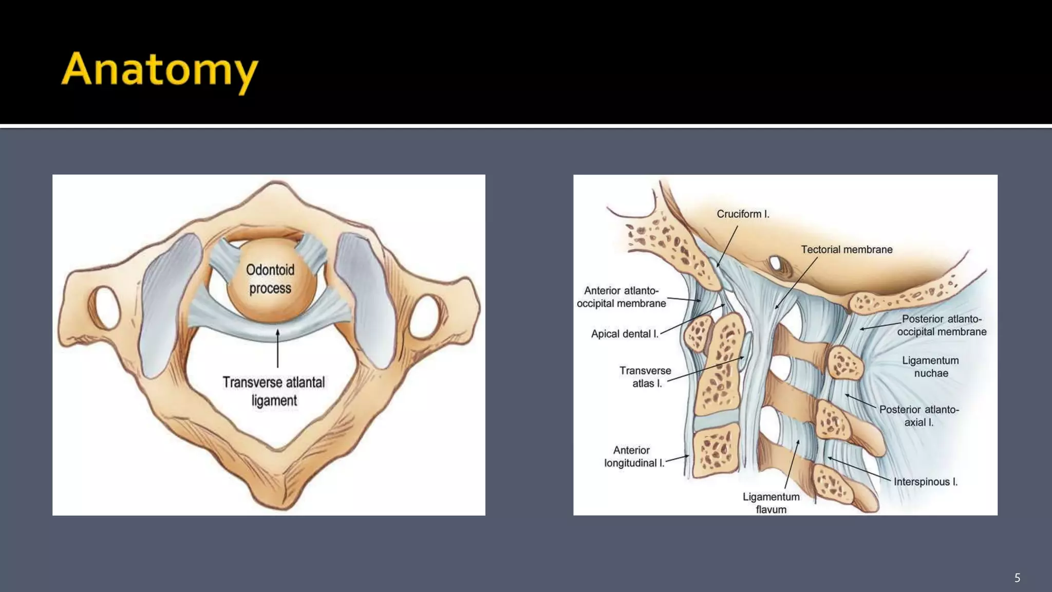 Cervical Fusion: C1-C2 Fusion | PPTX
