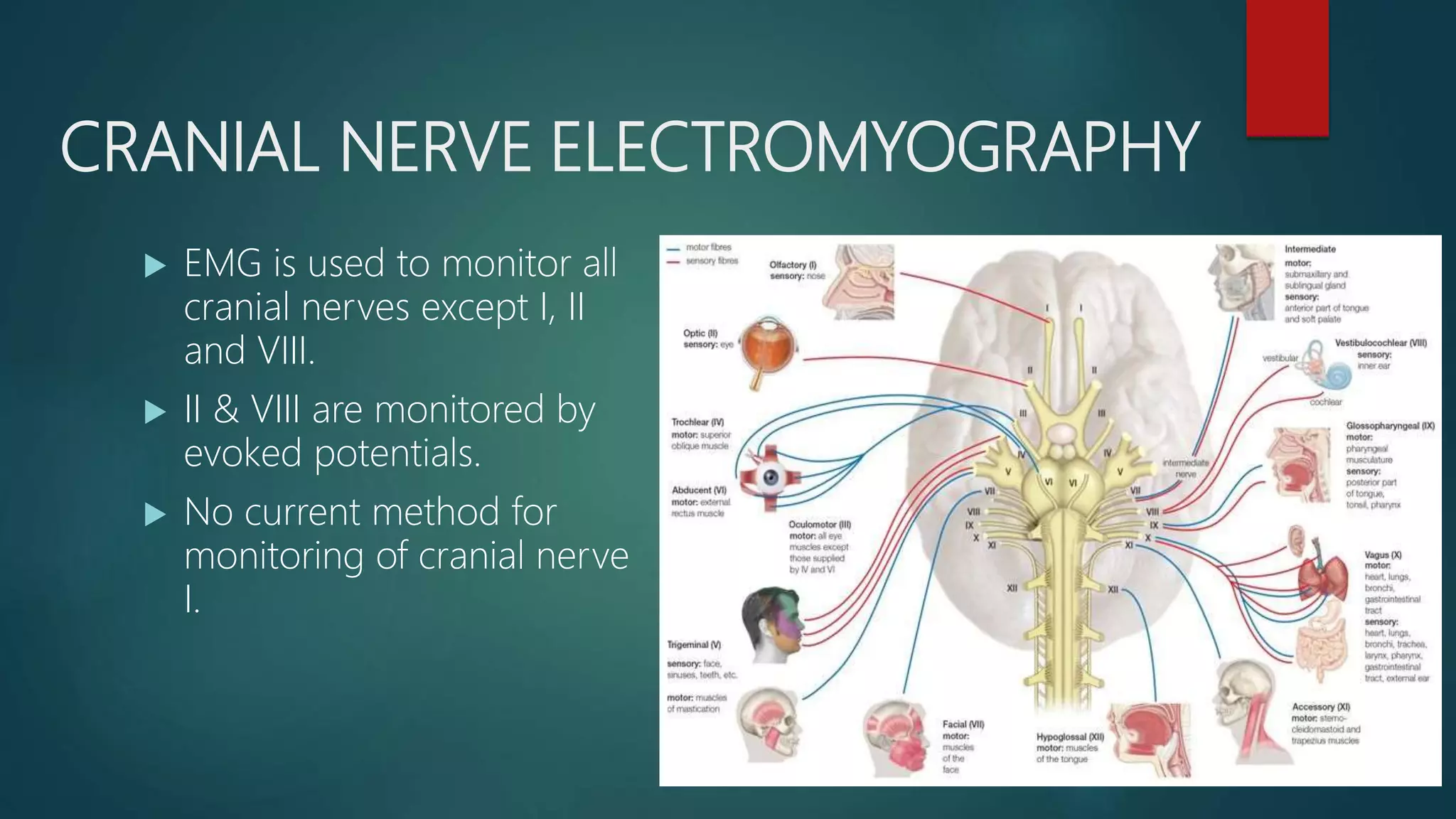 Intraoperative Neurophysiological Monitoring Brain | PPTX