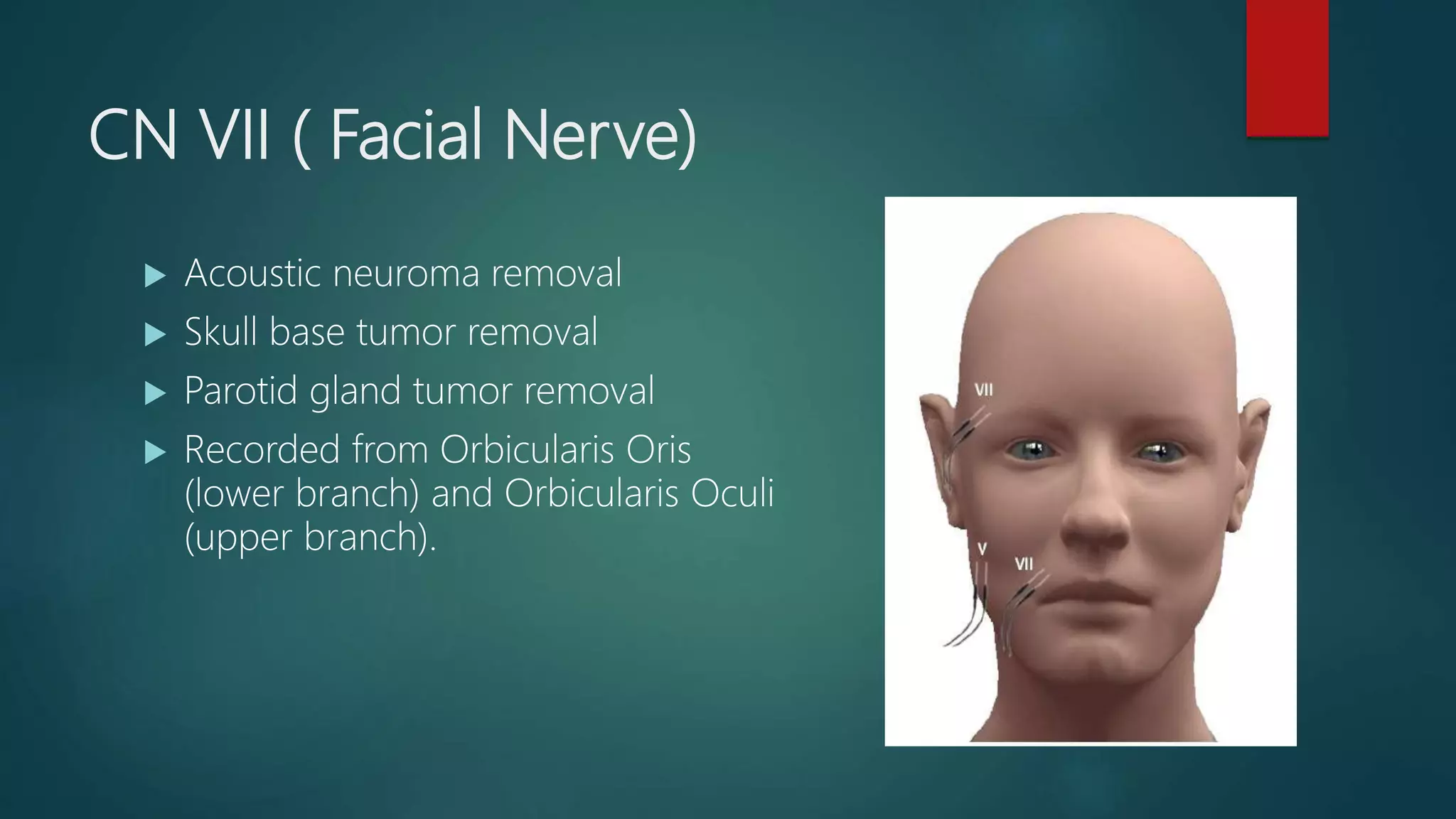 Intraoperative Neurophysiological Monitoring Brain | PPTX