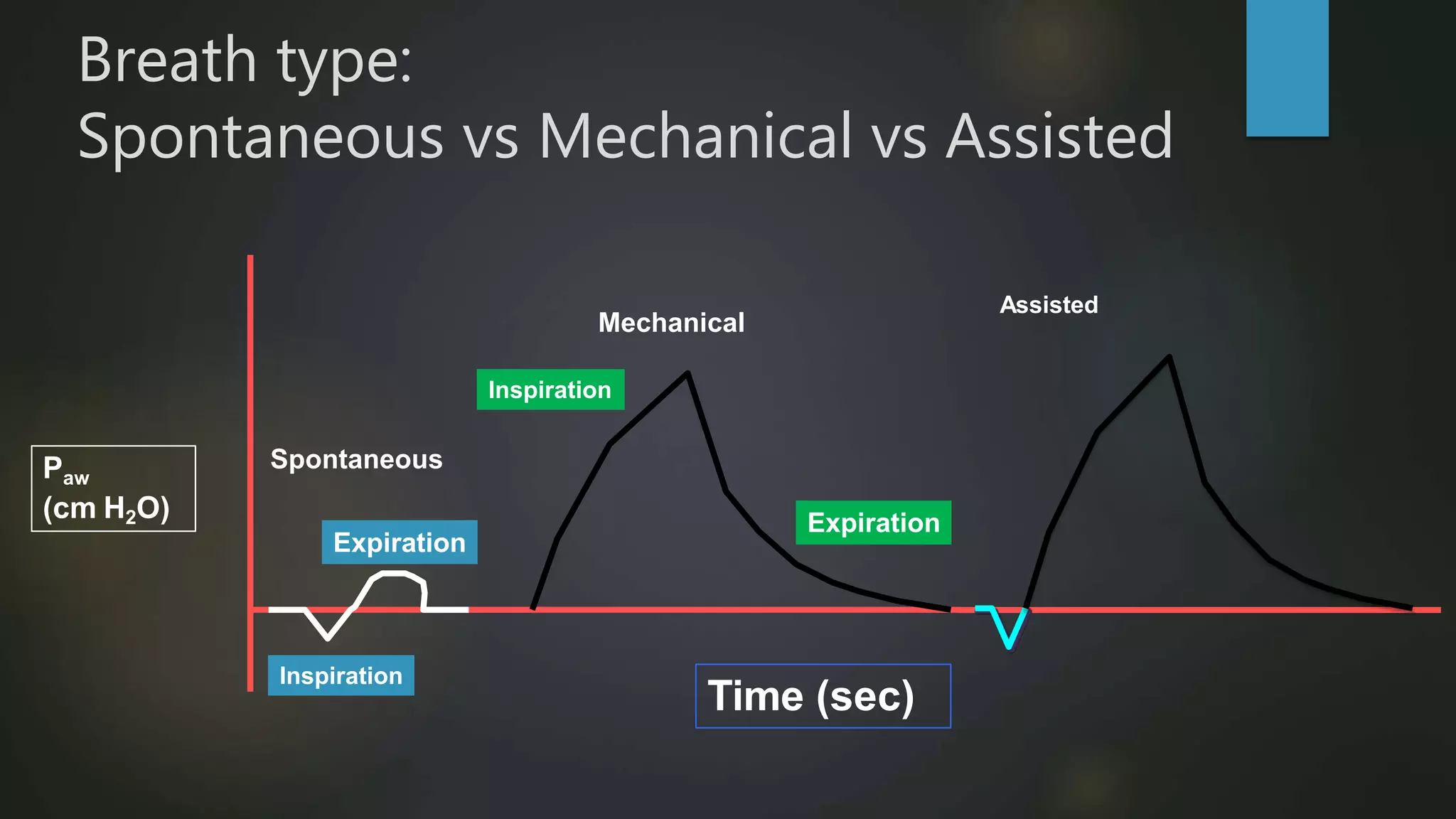 Mechanical Ventilation | PPTX