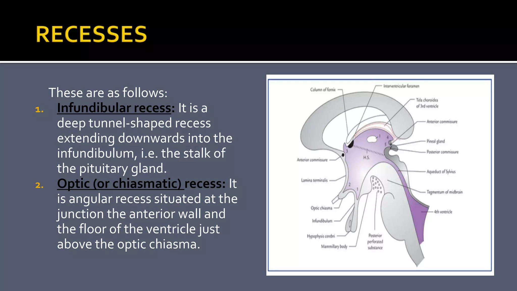 Endoscopic Third Ventriculostomy | PPTX