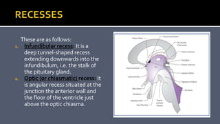 Endoscopic Third Ventriculostomy | PPTX