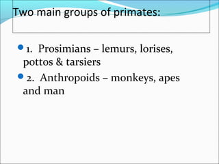 Human Evolution | PPT