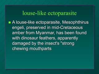 Evolution of parasitism | PPT