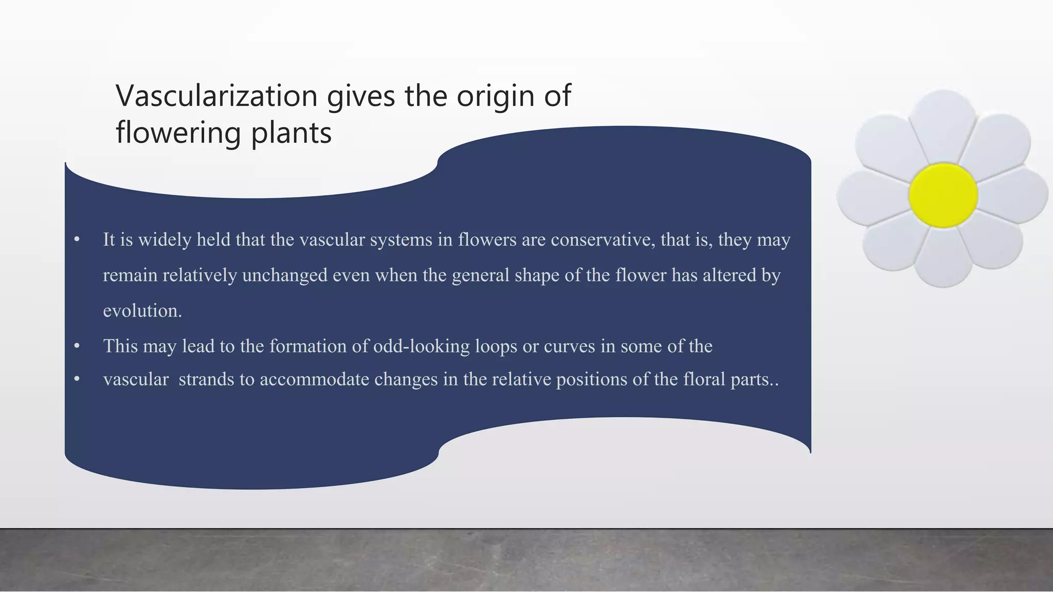 advanced anatomy of plants vascularization | PPTX