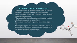 advanced anatomy of plants vascularization | PPTX
