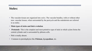 advanced anatomy of plants vascularization | PPTX