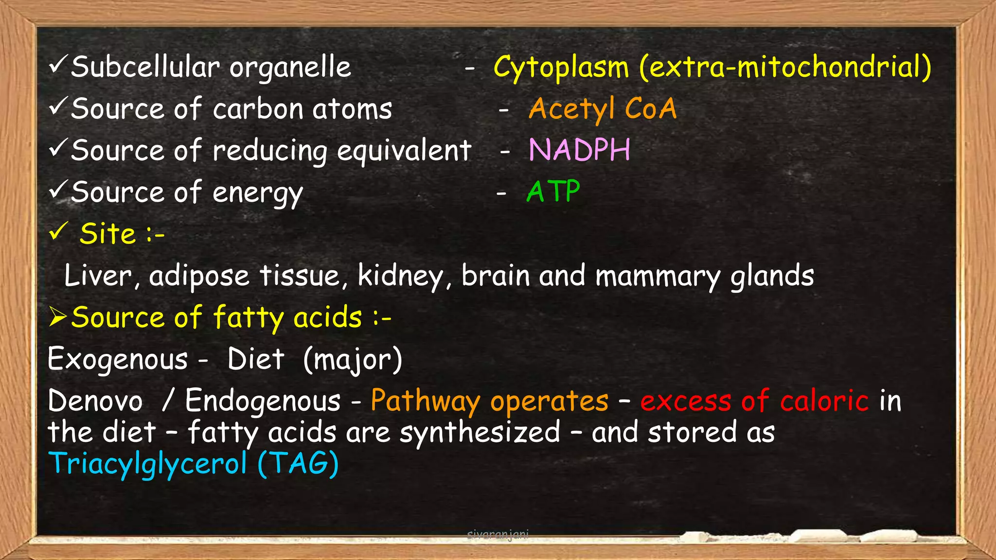De Novo synthesis of fatty acids | PPSX