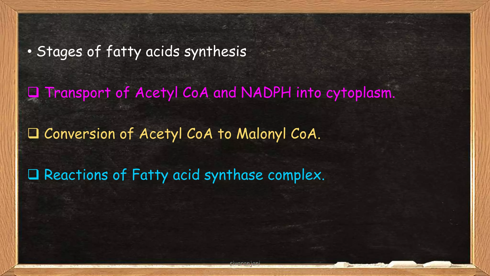 De Novo synthesis of fatty acids | PPSX