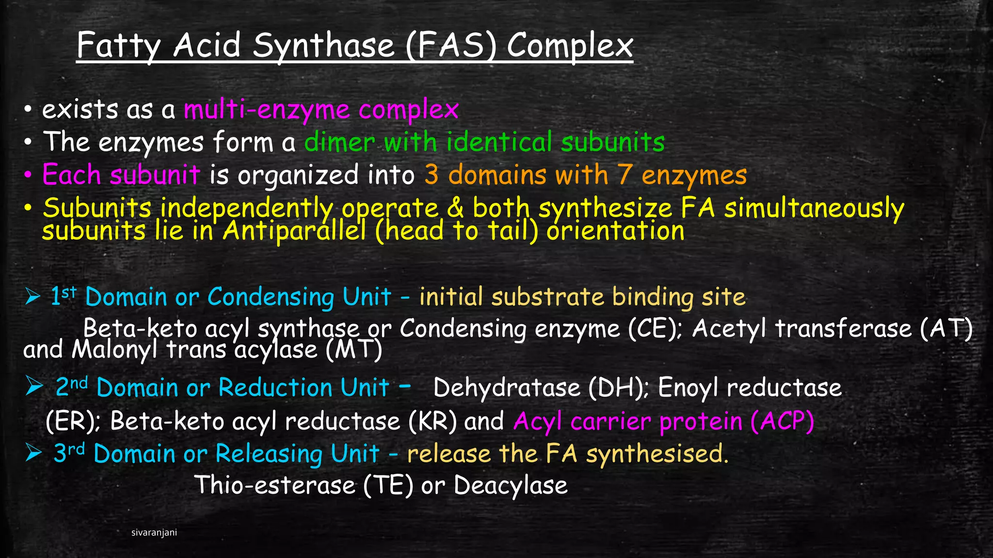 De Novo synthesis of fatty acids | PPSX