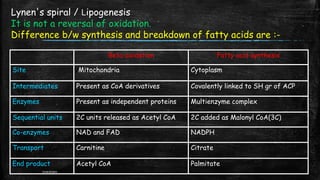 De Novo synthesis of fatty acids | PPSX