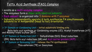 De Novo synthesis of fatty acids | PPSX