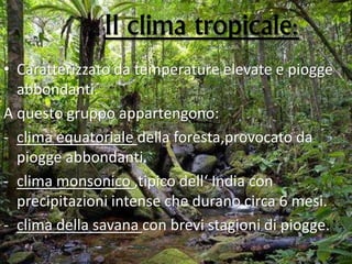 Fasce climatiche della terra (presentazione) | PPTX