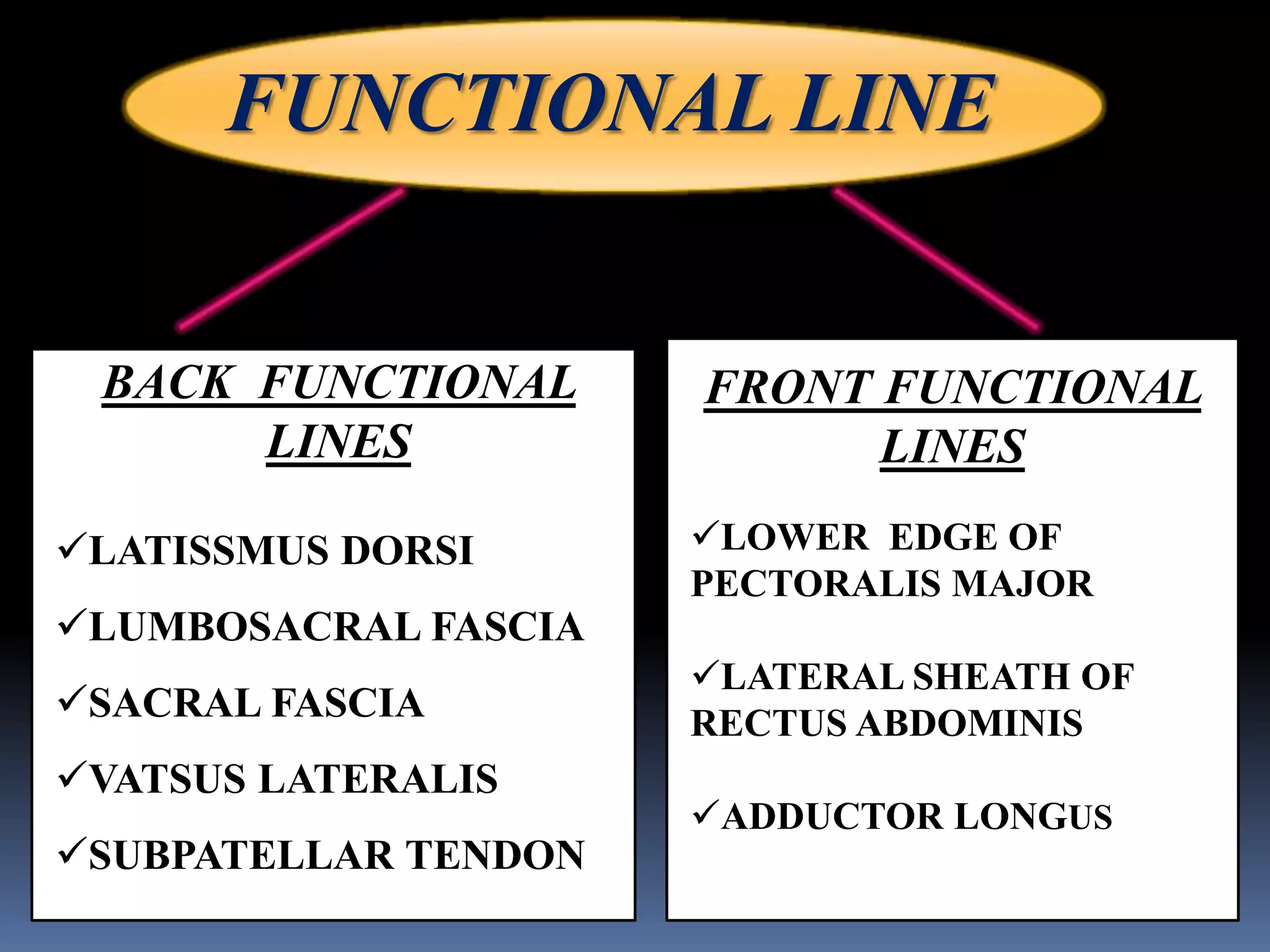 Fascia | PPTX