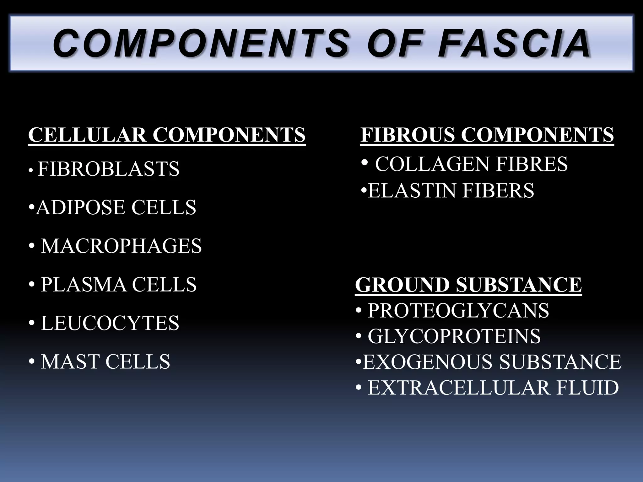 Fascia | PPTX
