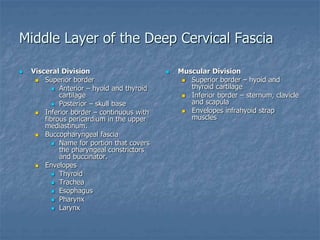 fascia.ppt