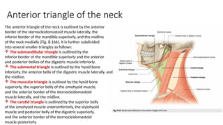 Fascia and muscles of neck sjddkdjkrdjdjjrrjj | PPTX
