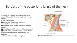 Fascia and muscles of neck sjddkdjkrdjdjjrrjj | PPTX