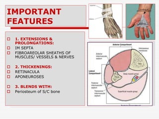 GENERAL ANATOMY OF THE FASCIAE BY DR JAMIL ANWAR | PPT