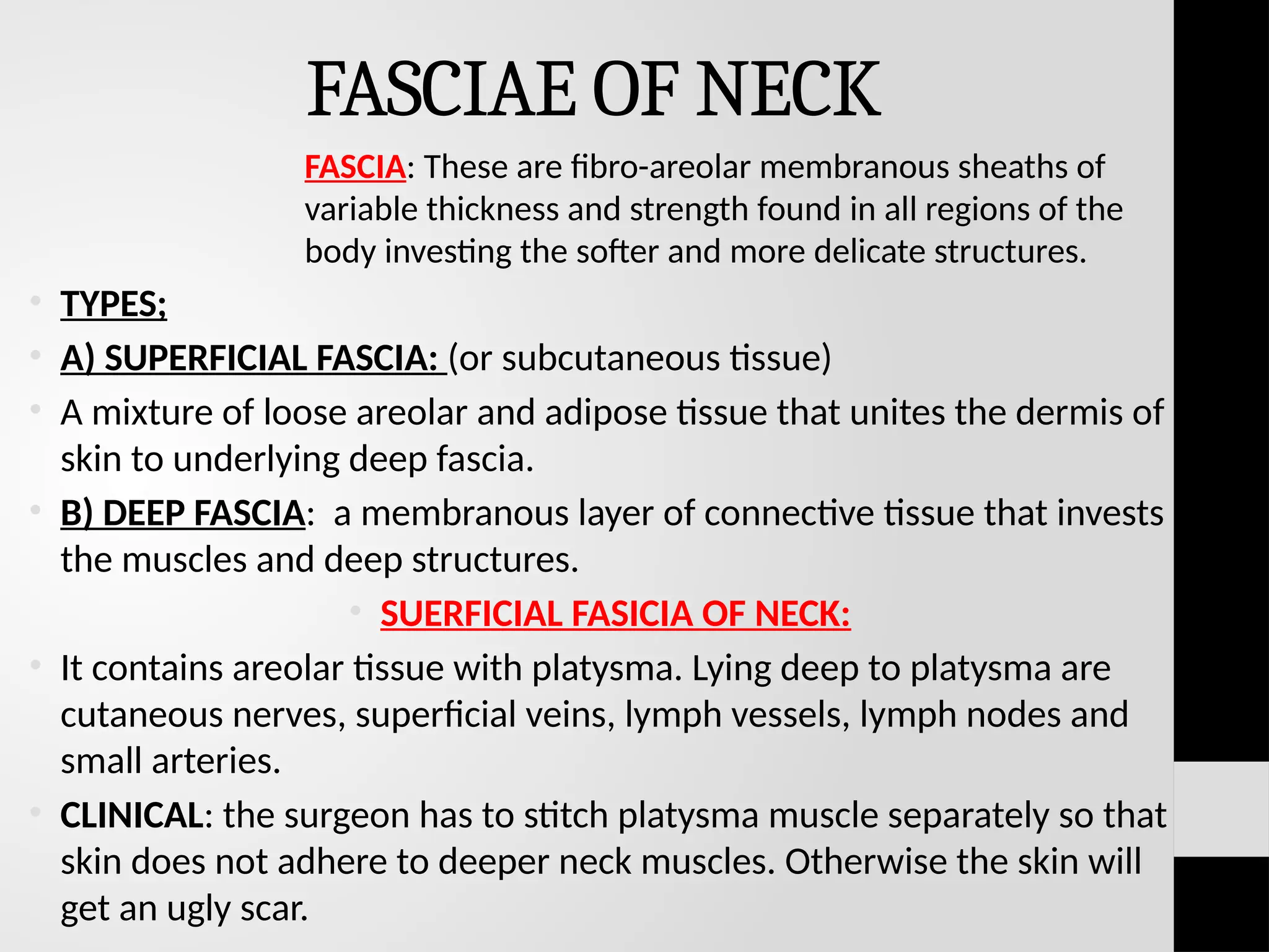 FASCIAE OF human neck gross anatomy mbbs | PPTX